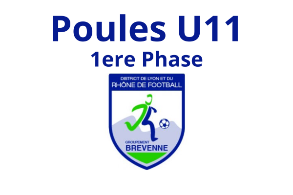 Articles simple – DISTRICT DE LYON ET DU RHONE DE FOOTBALL